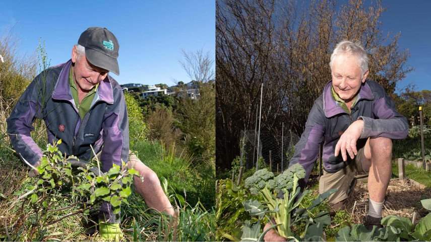 Mt Pleasant man helping to plant 8000 trees a year at Drayton Reserve ...