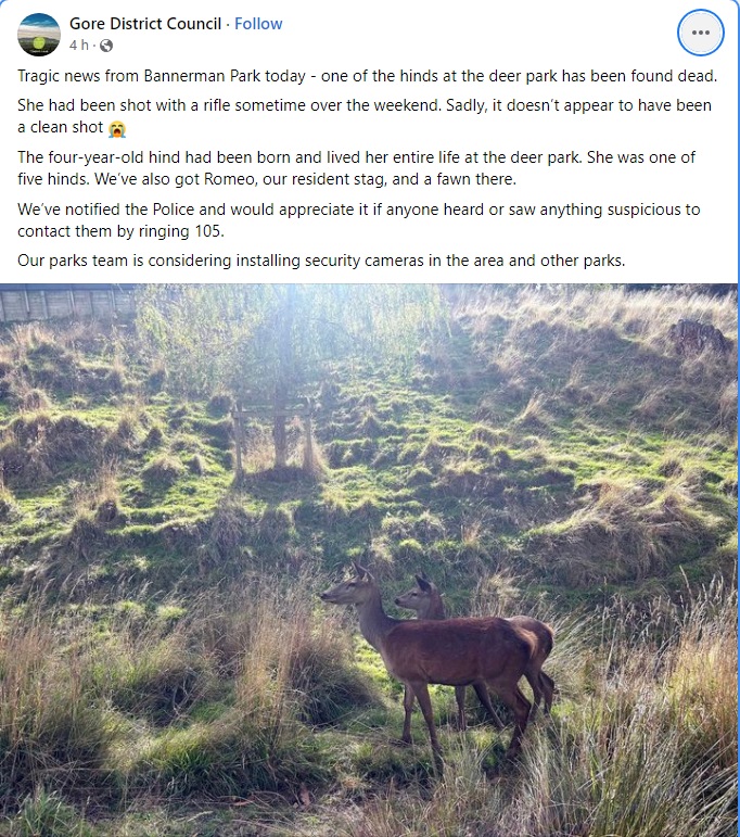 Deer shot dead at Gore deer park | Otago Daily Times Online News