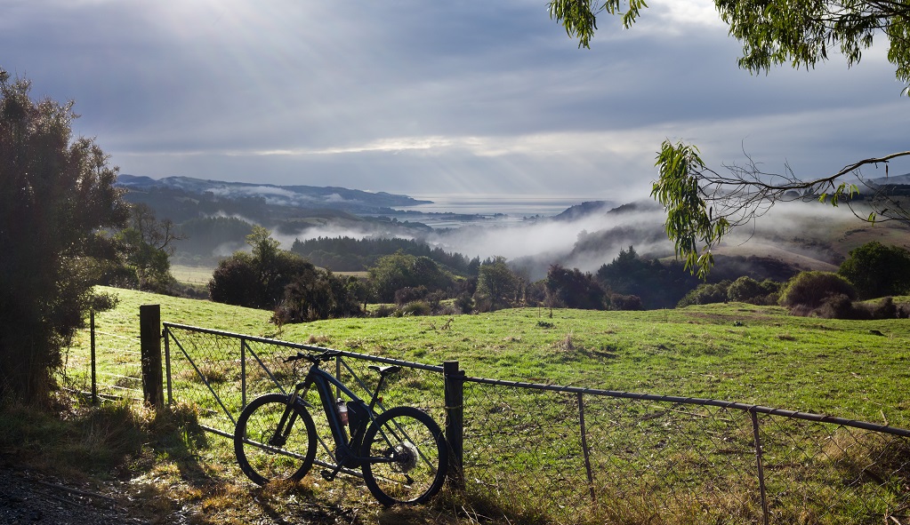 Stopping to enjoy the outlook on Waitati road | Otago Daily Times ...