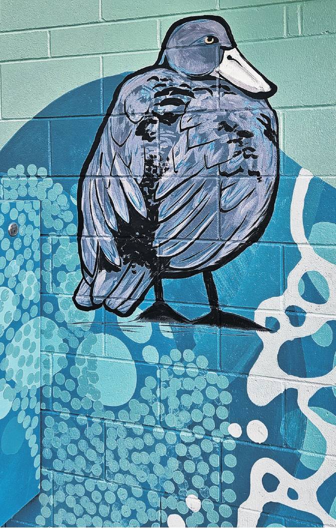 Award-winning Rangiora whio mural finished | Star News