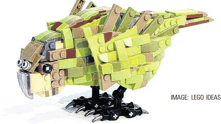 Popular parrot now brick bird | Otago Daily Times Online News