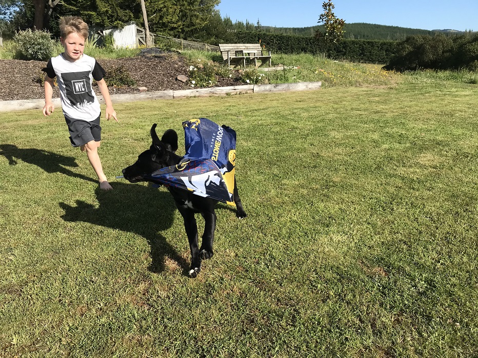 Zoey is a keen Highlanders supporter | Otago Daily Times Online News