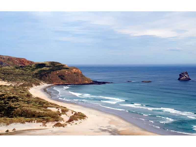 Sandfly Bay - Alchetron, The Free Social Encyclopedia