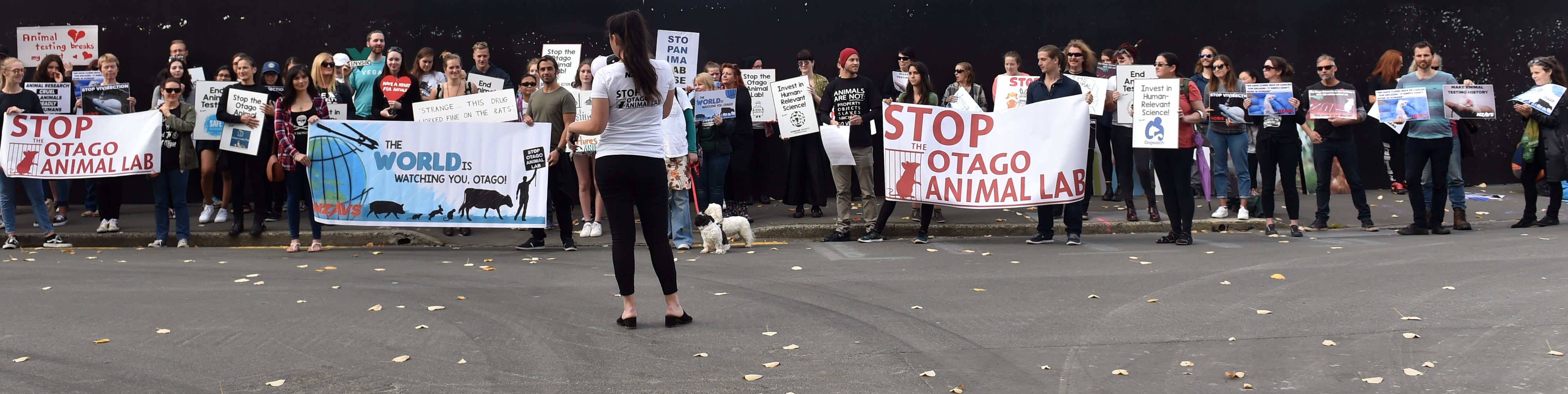 Speaking up for the animals | Otago Daily Times Online News
