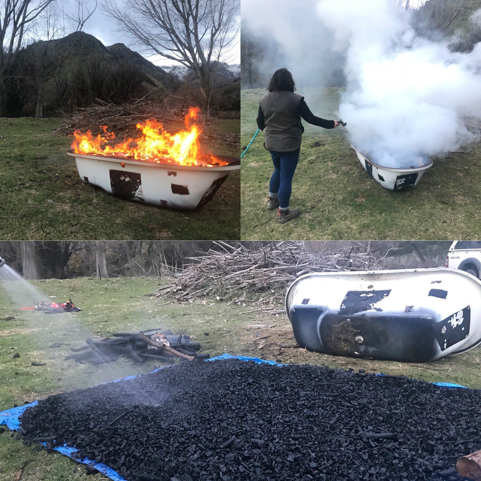 Locking in the carbon | Otago Daily Times Online News