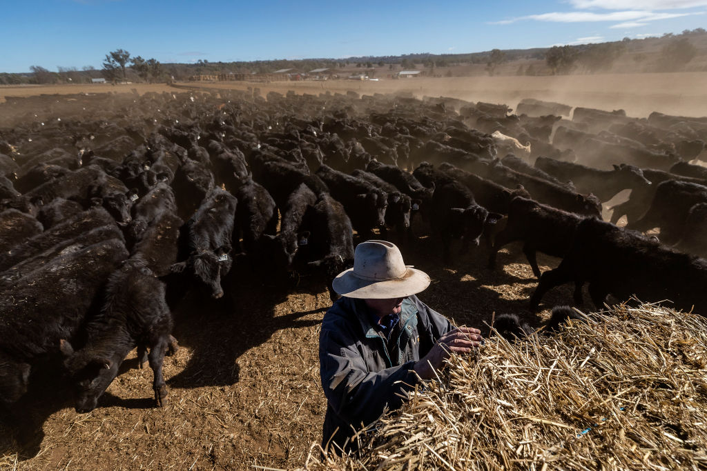 Drought battle goes on for Aussie farmers | Otago Daily Times Online News