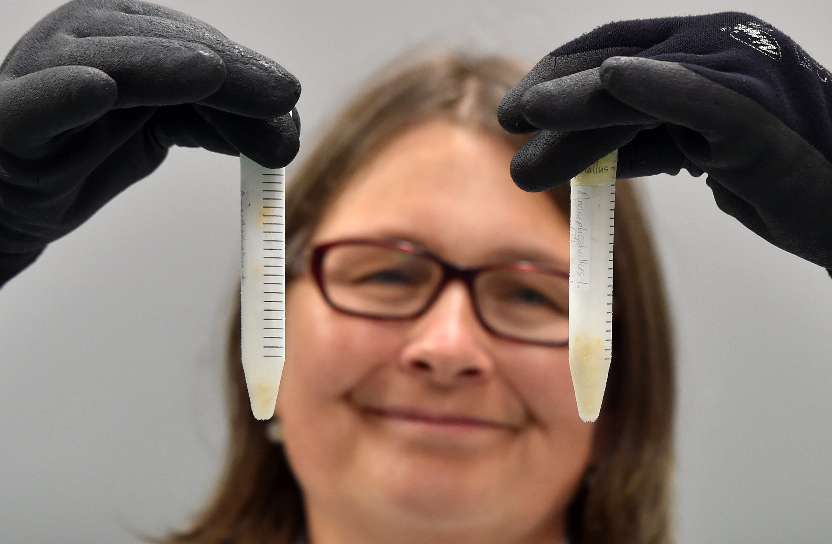 Janice Lord's Instagram, Twitter & Facebook on IDCrawl