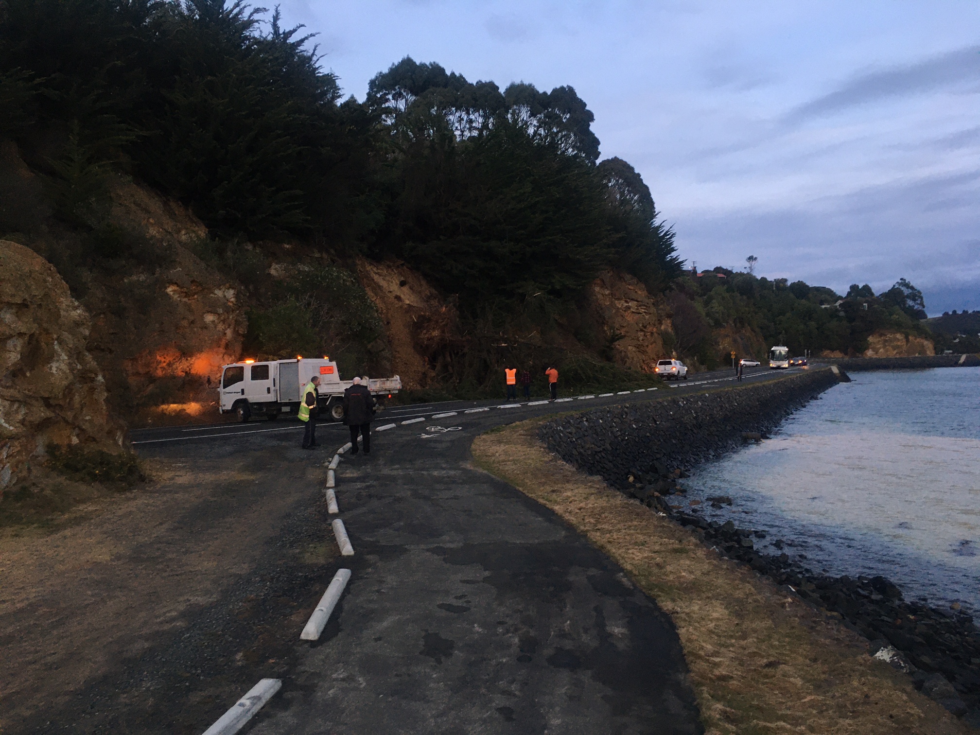 Crane to help shift big tree on Portobello Road | Otago Daily Times ...