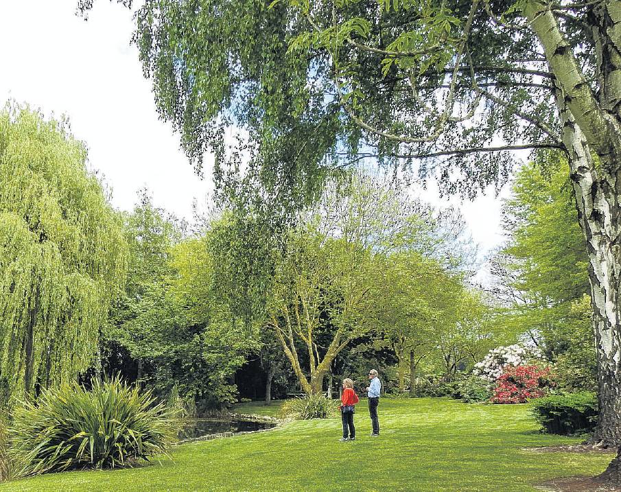 A festival of gardens in Hurunui | Otago Daily Times Online News