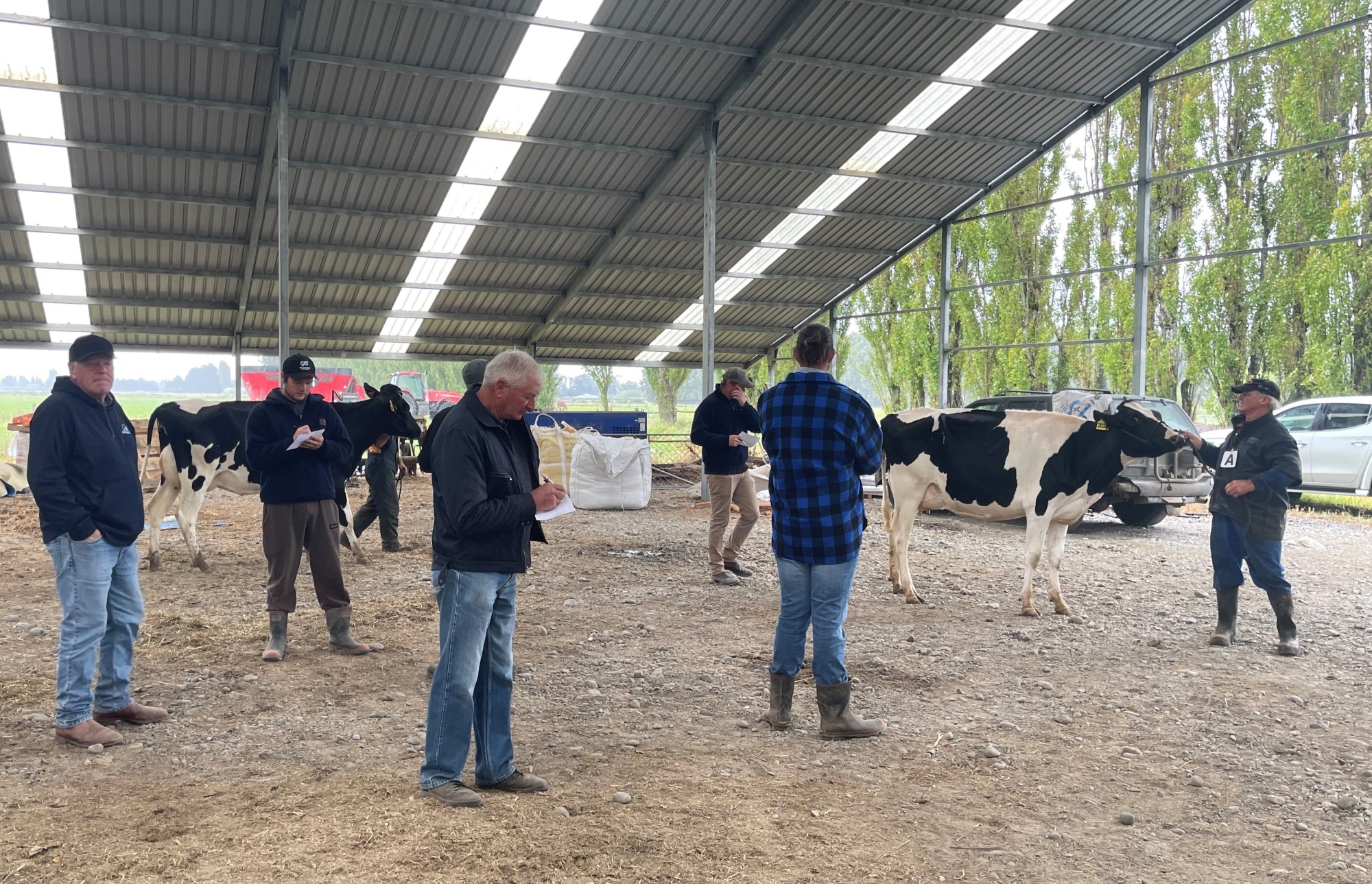 Judging the judges | Otago Daily Times Online News