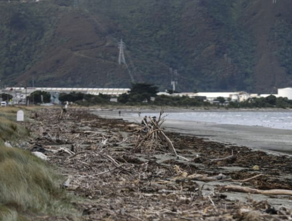 Foot found on beach identified | Otago Daily Times Online News