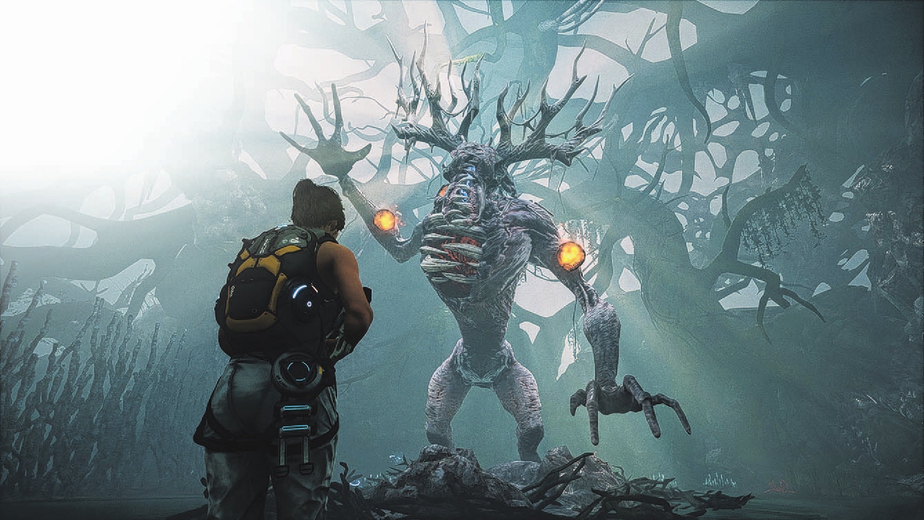 Scarred? No, bored | Otago Daily Times Online News