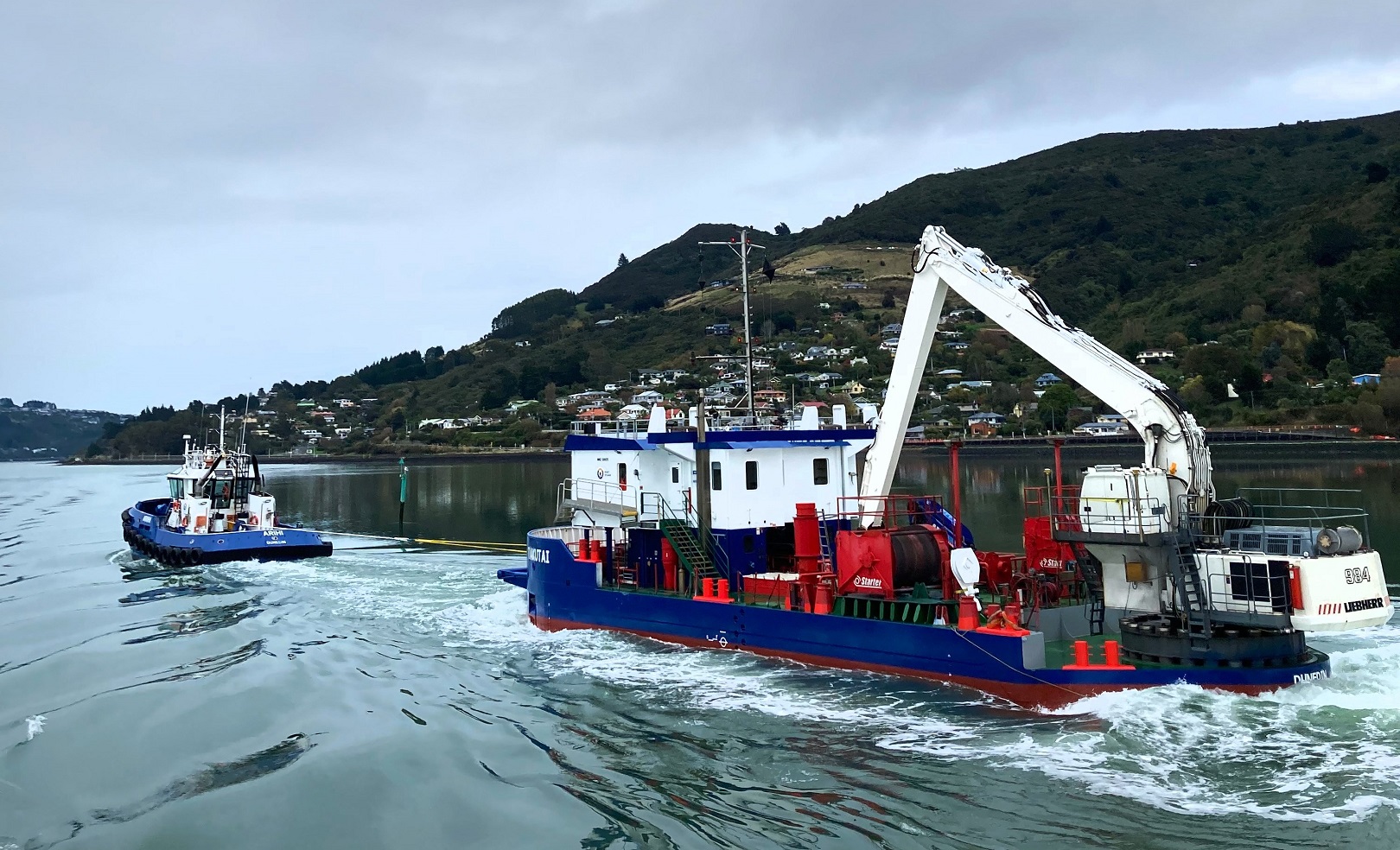 ‘Takutai’ returns with clean bill of health | Otago Daily Times Online News