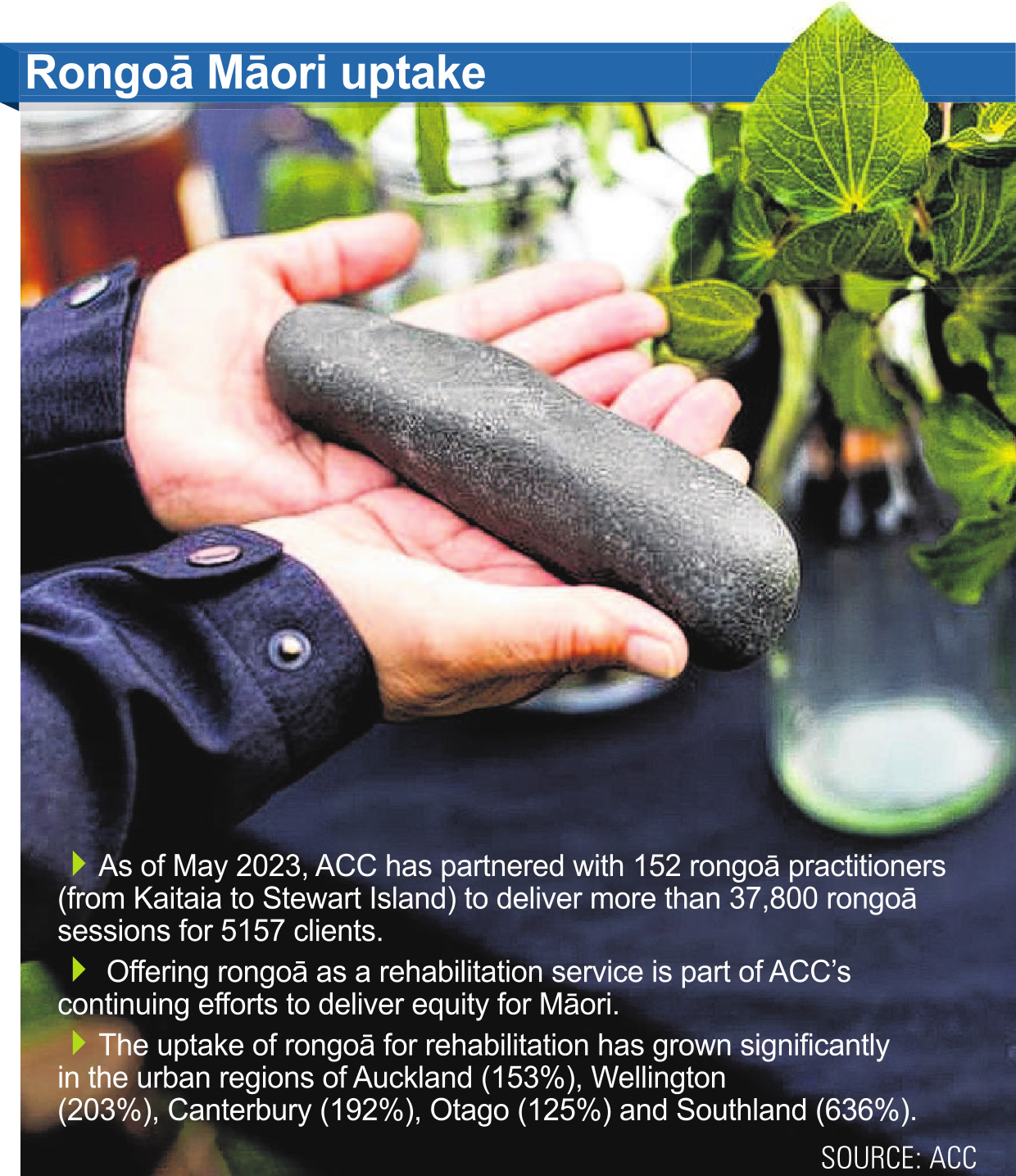 Rongoa up 636% since 2020 in Southland | Otago Daily Times Online News