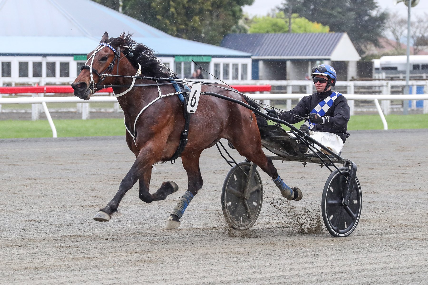 majestic_man_action_1.jpg | Otago Daily Times Online News