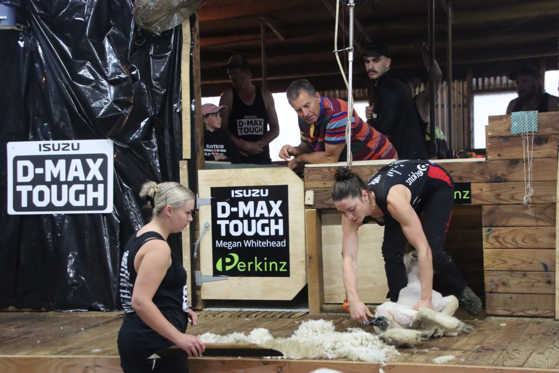 Shearing world records set in Southland | Otago Daily Times Online News