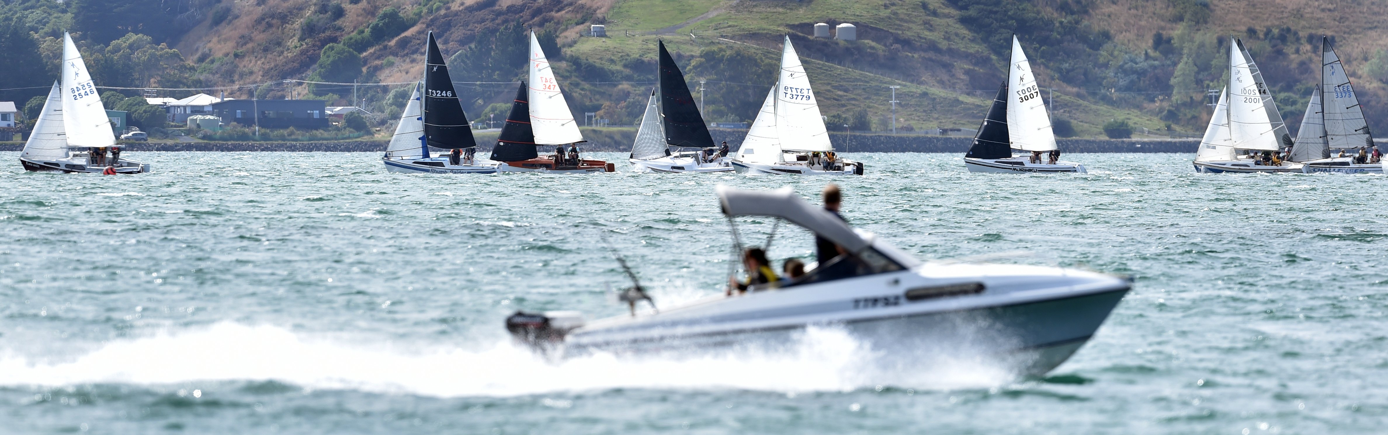 Little boat . . . | Otago Daily Times Online News