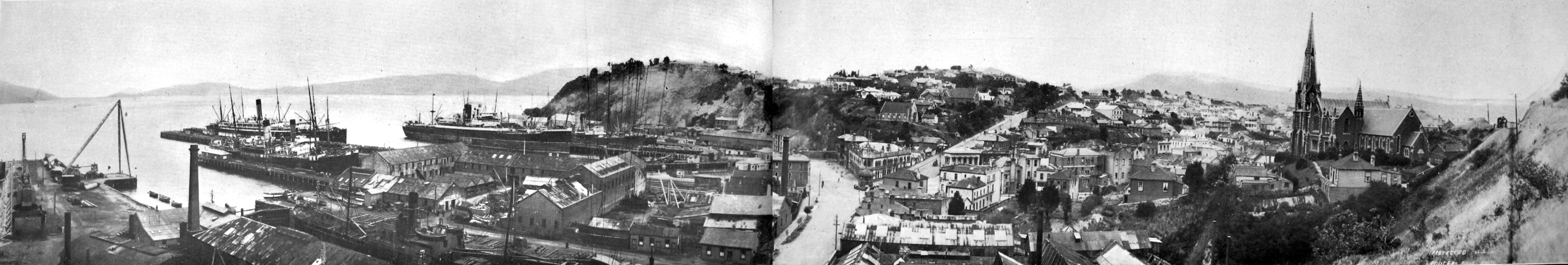 Busy week at Port | Otago Daily Times Online News