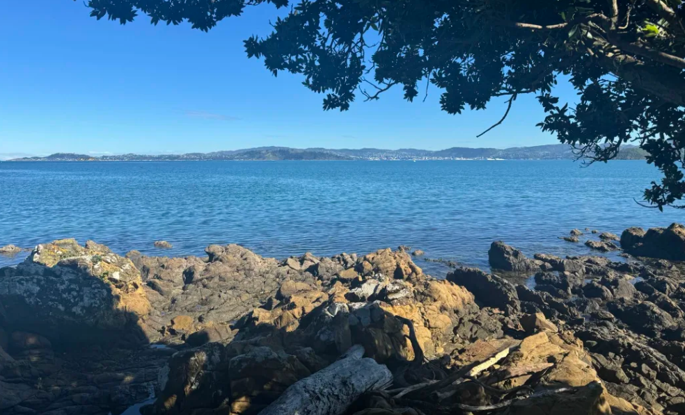 Woman found dead in Wellington harbour identified | Otago Daily Times ...