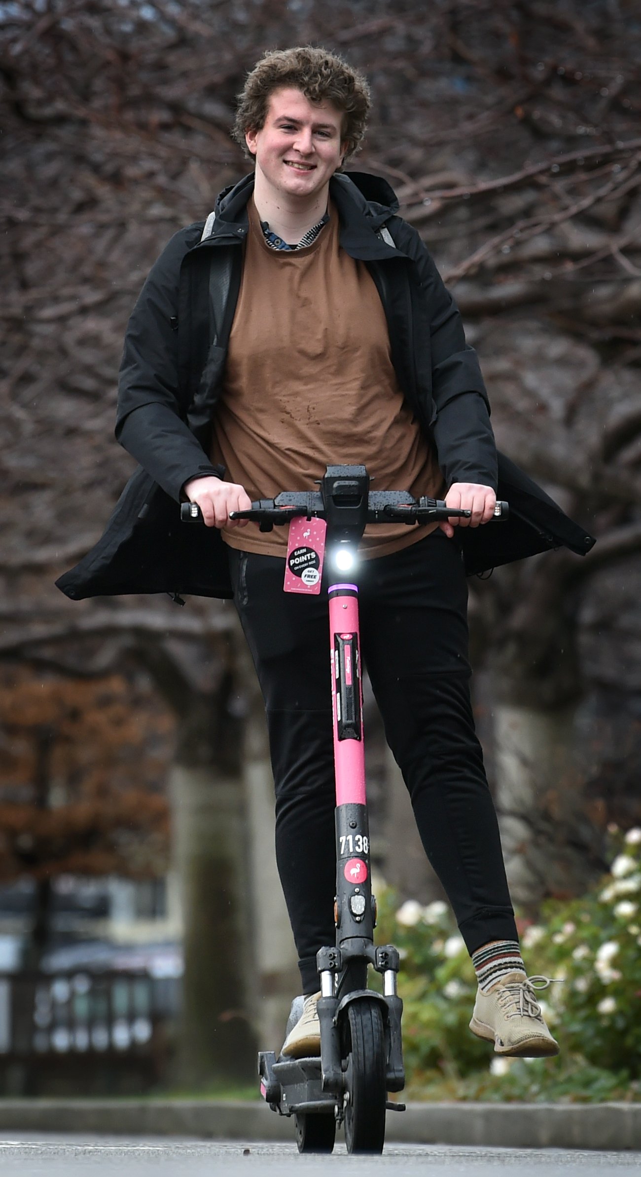 Going forth on a Flamingo | Otago Daily Times Online News