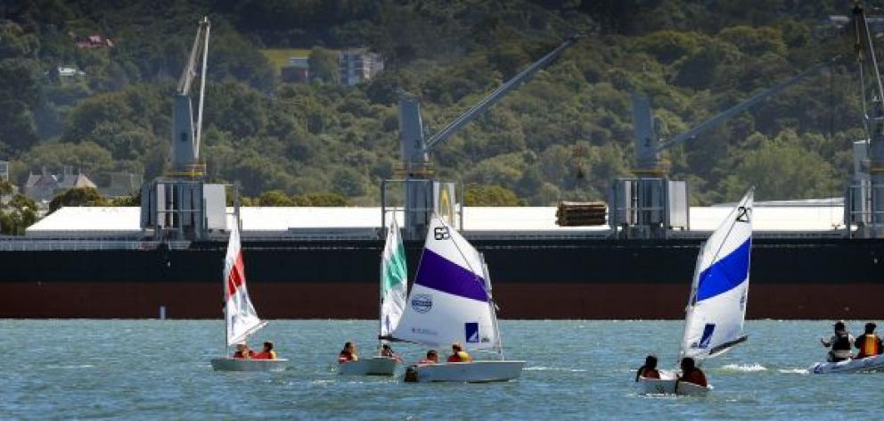 Water turnout | Otago Daily Times Online News