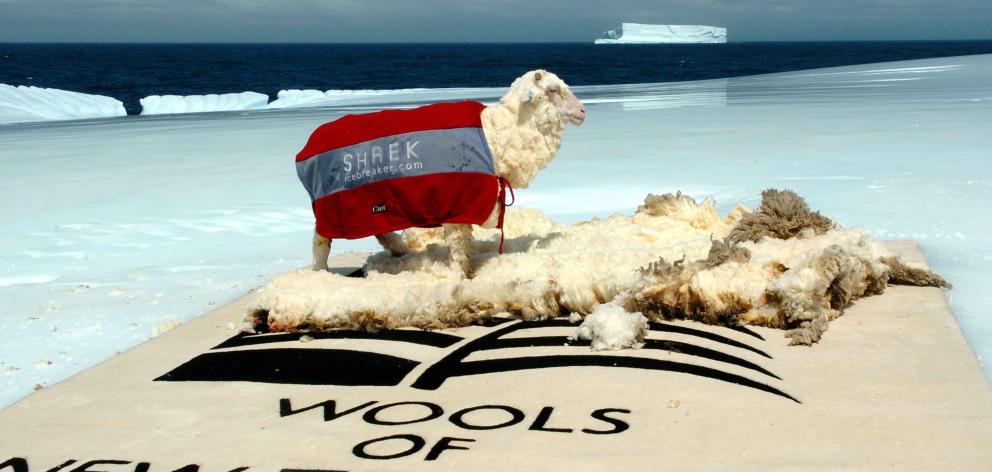 Quirky Kiwi Art Crimes