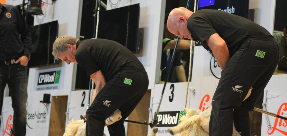 English a cut above world champ shearer | Otago Daily Times Online News