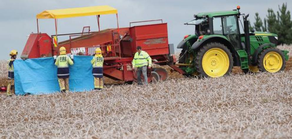 Potato farm death destroys 'a million dreams' | Otago Daily Times ...