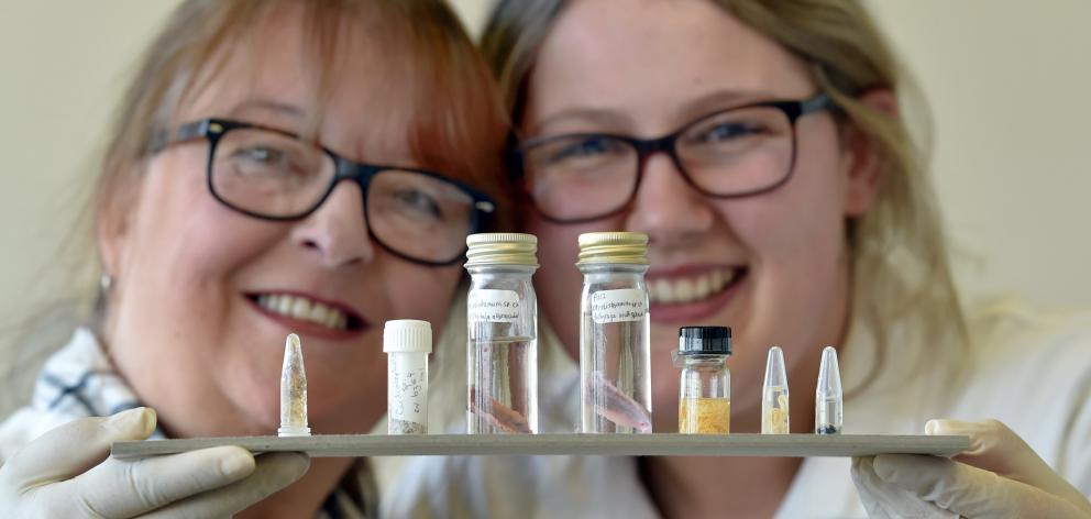 Parasitic worm specimens given to museum | Otago Daily Times Online News