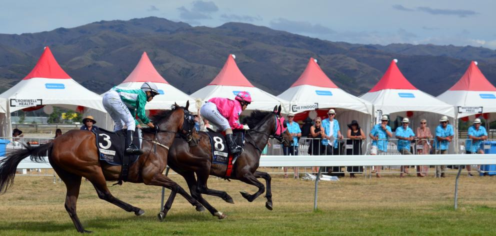 Great day at the track | Otago Daily Times Online News