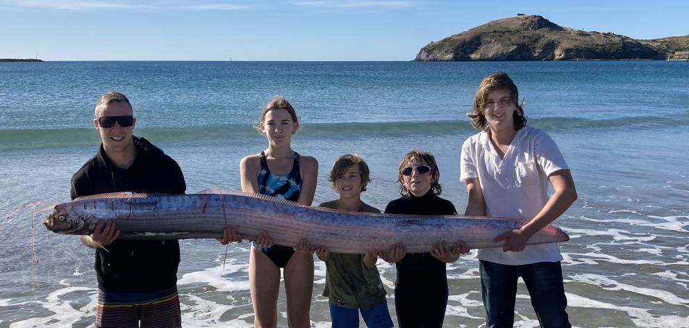 Creature from the deep gives beach-goers a thrill | Otago Daily Times ...