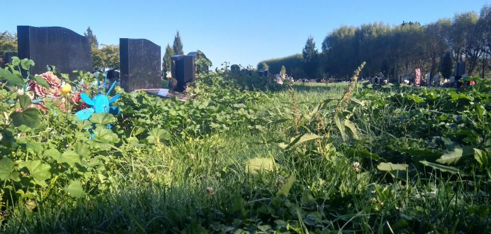 Elderly widow upset over state of grave at Avonhead Memorial Cemetery ...
