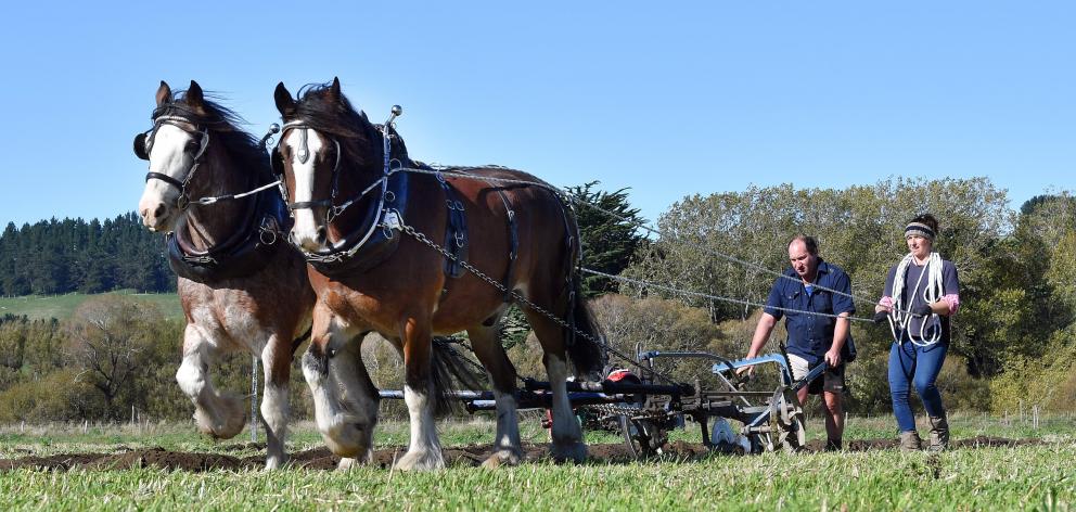Prelude to national ploughing champs | Otago Daily Times Online News