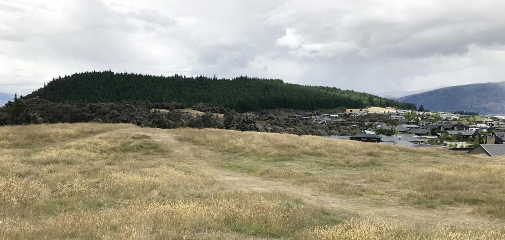 Council will ‘accept’ Sticky Forest decision | Otago Daily Times Online ...