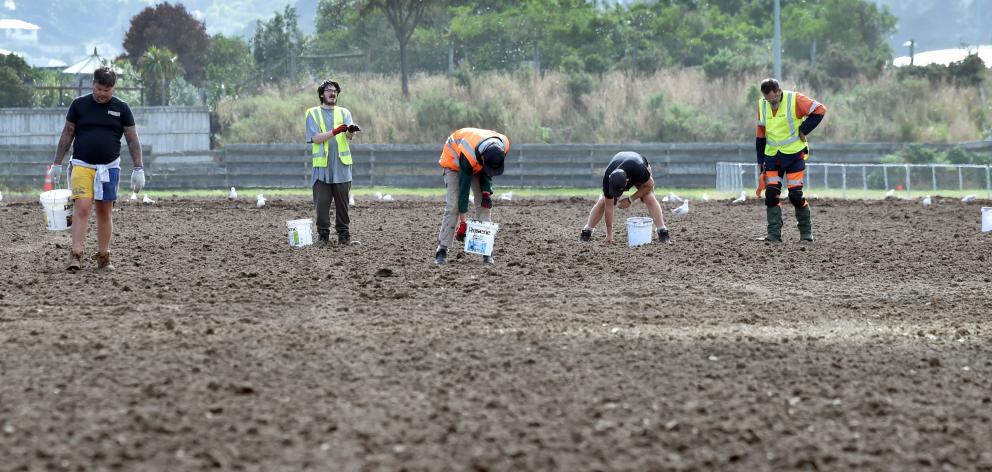 Taskforce on course to de-rock Hancock | Otago Daily Times Online News