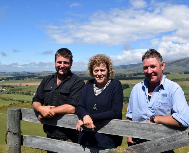 Members look forward to centennial dog trial | Otago Daily Times Online ...