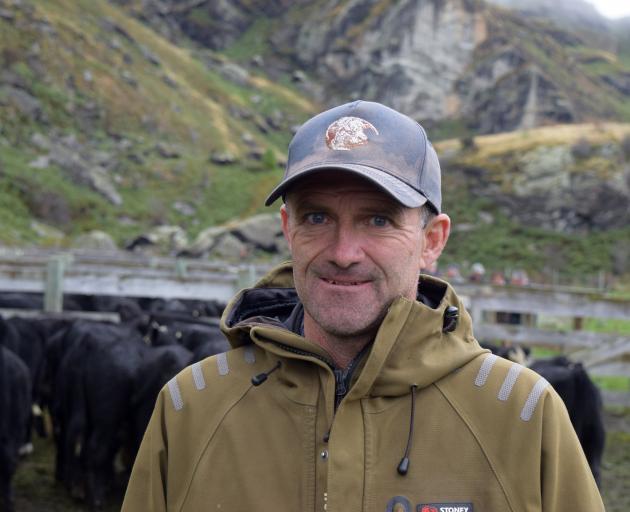 Good autumn weather helps spur solid buying at on-farm calf sale ...