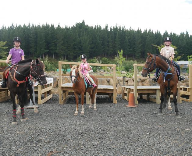 RDA welcomes new ramp to assist riders | Otago Daily Times Online News