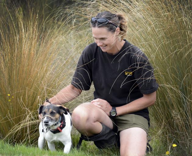 Terrier's work done - ecosanctuary free of stoats | Otago Daily Times ...