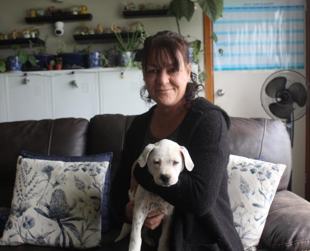 Struggling pet owners giving up animals | Otago Daily Times Online News