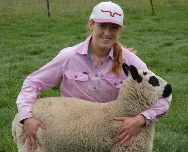 Welsh sheep breed makes its mark | Otago Daily Times Online News