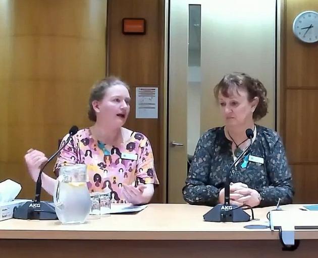 Advocates railing against health inequities | Otago Daily Times Online News