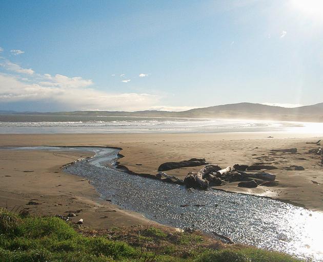 Dump site by Waiau River to be cleared | Otago Daily Times Online News