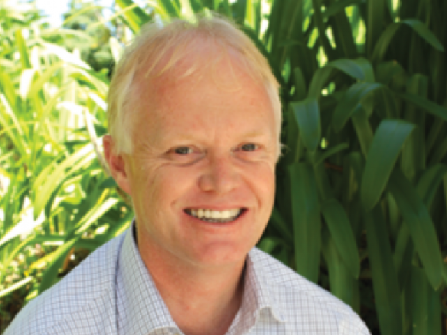 Health boss spent $22k on travel, meals, parking - and coffee | Otago ...