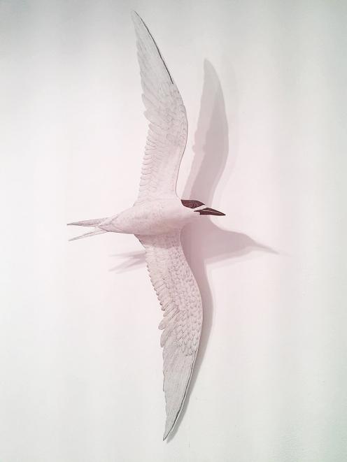 Birds emerge from native wood | Otago Daily Times Online News