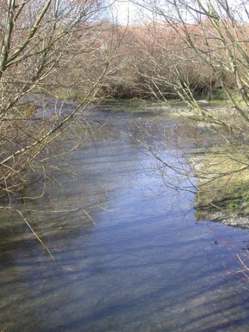 Bridge Ramp project launched | Otago Daily Times Online News