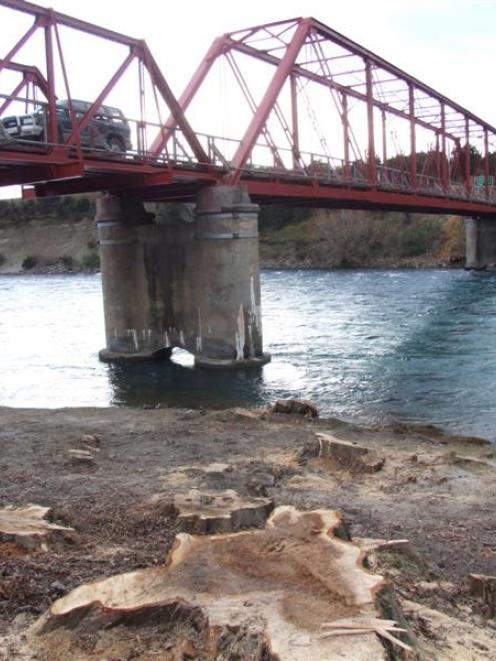 No further felling plans | Otago Daily Times Online News