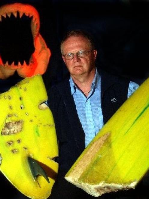 Shark nets: are they worth it? | Otago Daily Times Online News