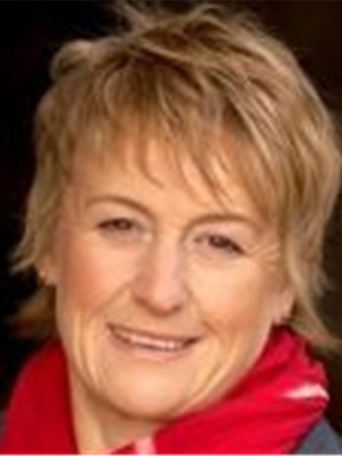 Cheers after 'yes' to convention centre | Otago Daily Times Online News