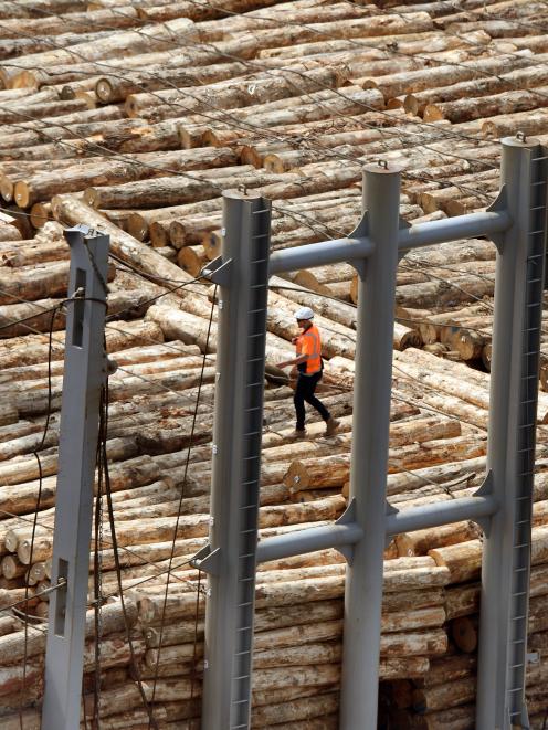 Log exports concern NZ processors | Otago Daily Times Online News